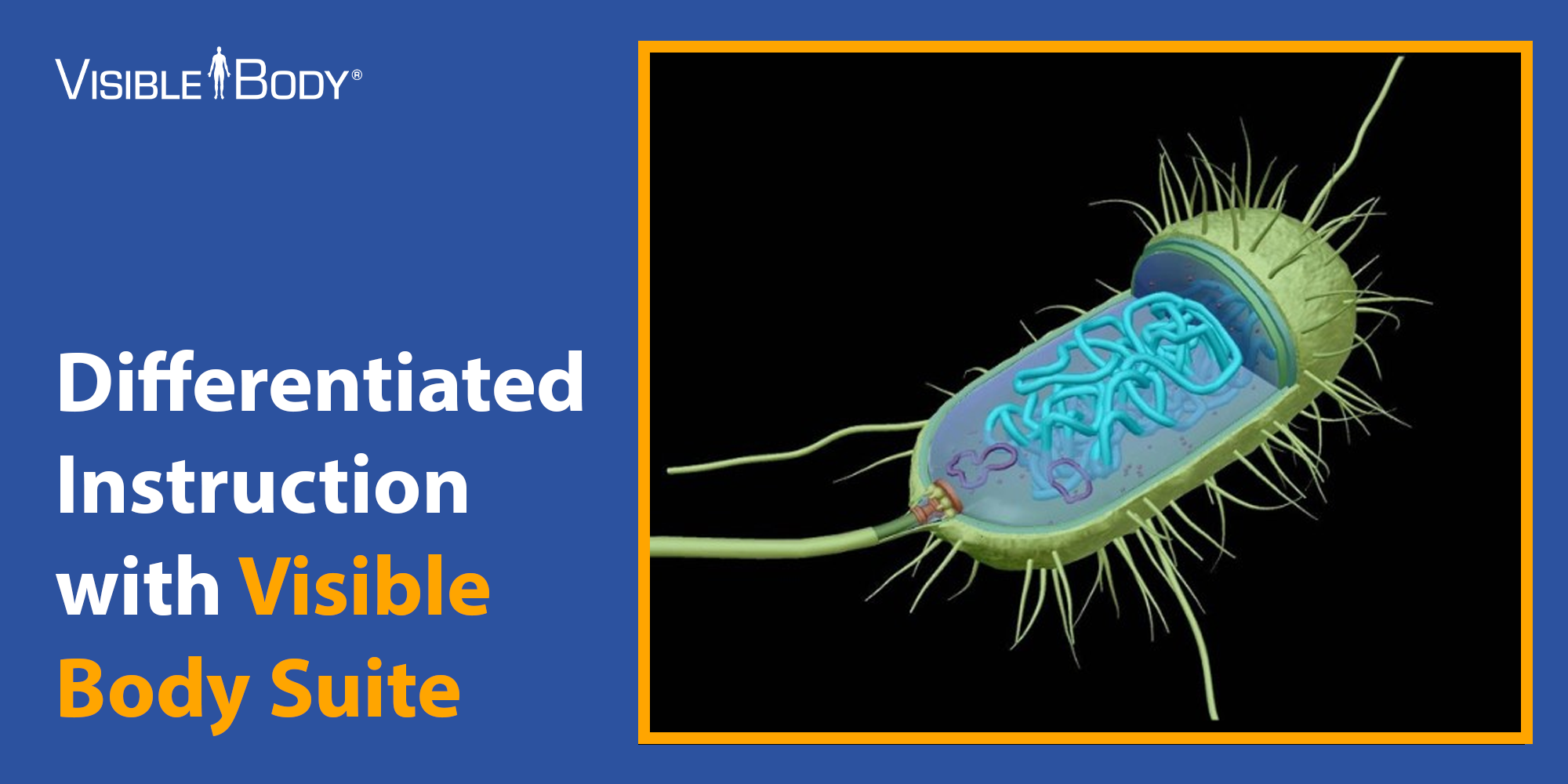 Teaching Cell Types: Differentiated Instruction with Visible Body